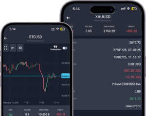 About Us – XPO Market